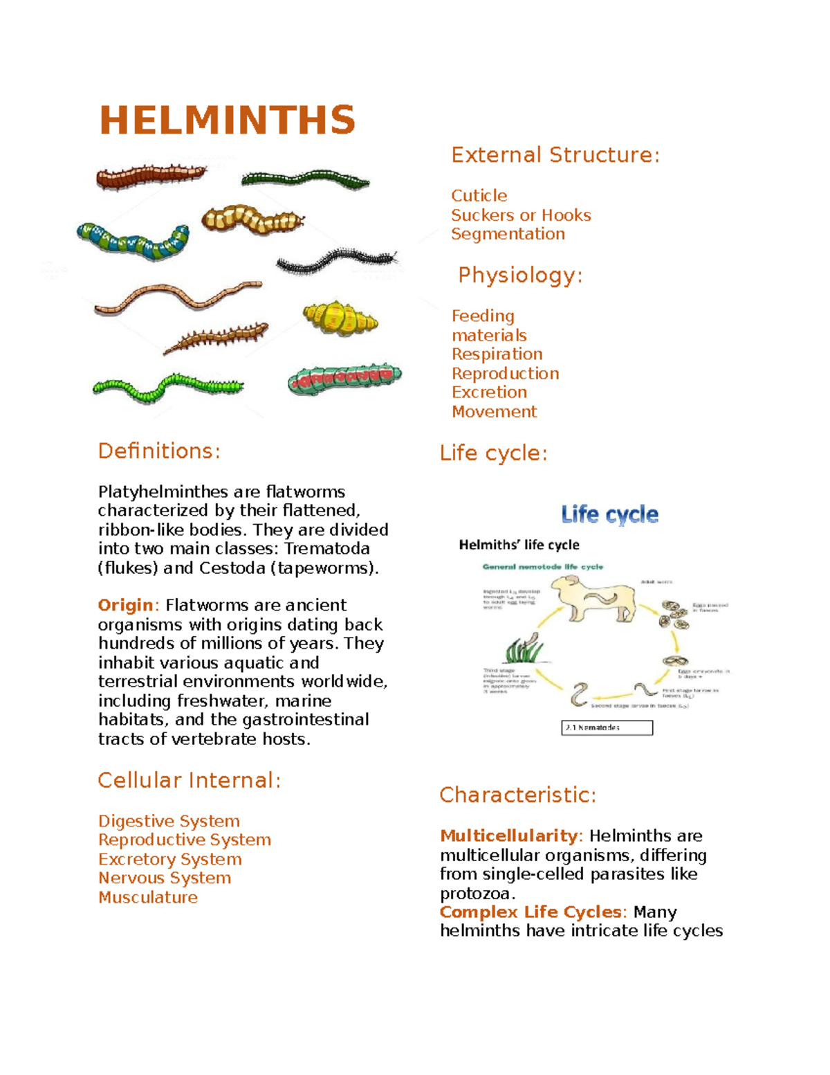 Helminths - study - HELMINTHS Definitions: Platyhelminthes are ...