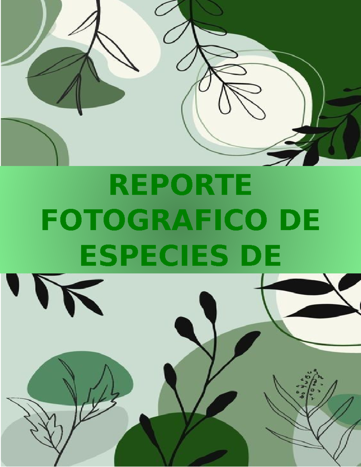 Plantas endemicas de tabasco - REPORTE FOTOGRAFICO DE ESPECIES DE ...