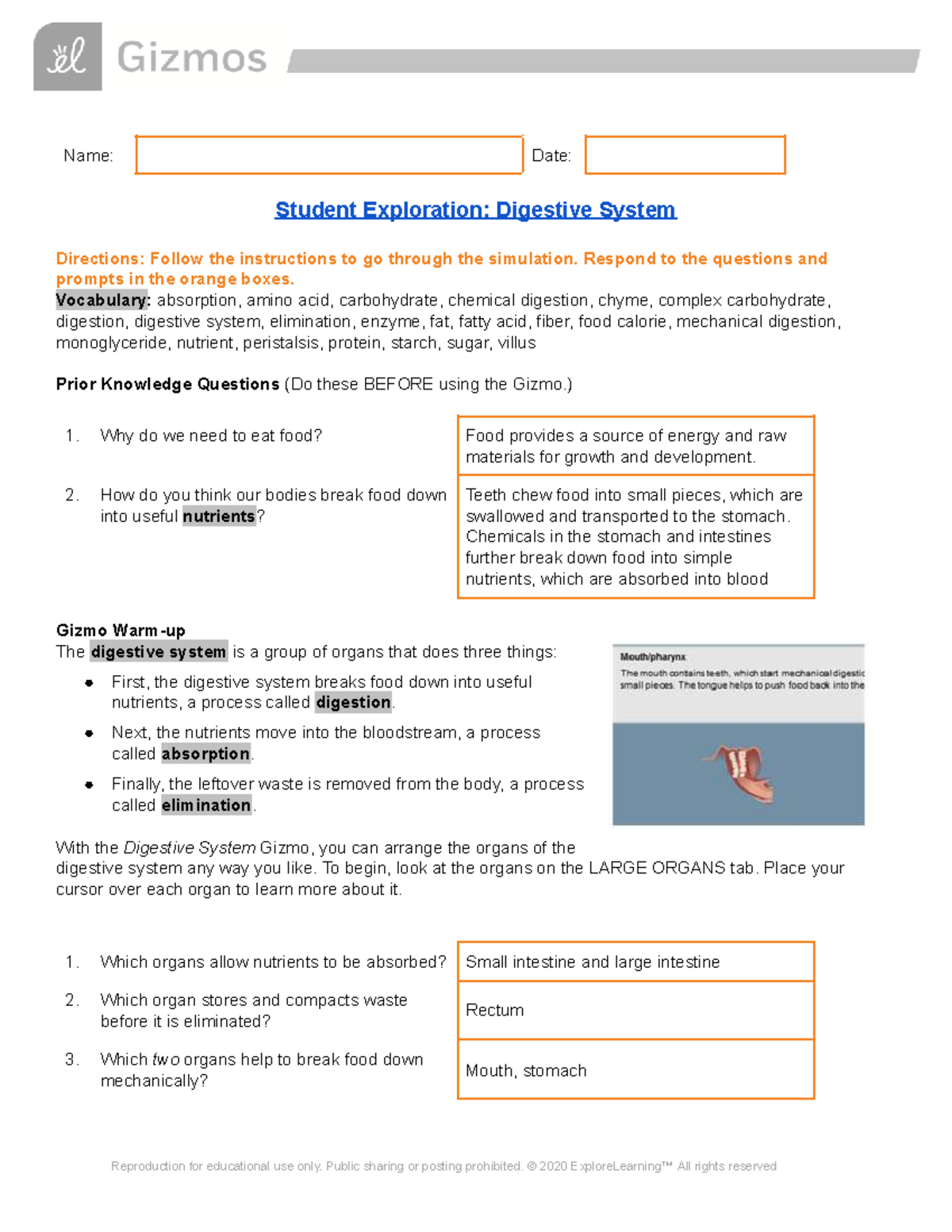 Copy of Digestive System Gizmo Student Exploration (GIZMO 101) - Studocu