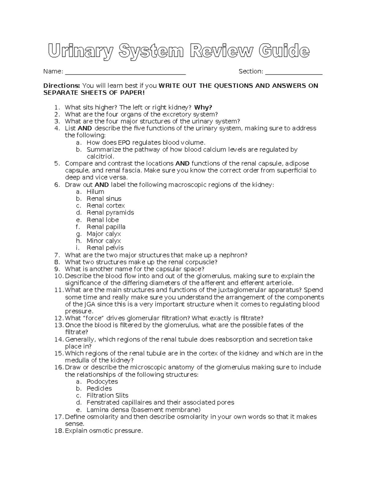 Urinary System Study Guide: Key Concepts and Functions - Studocu