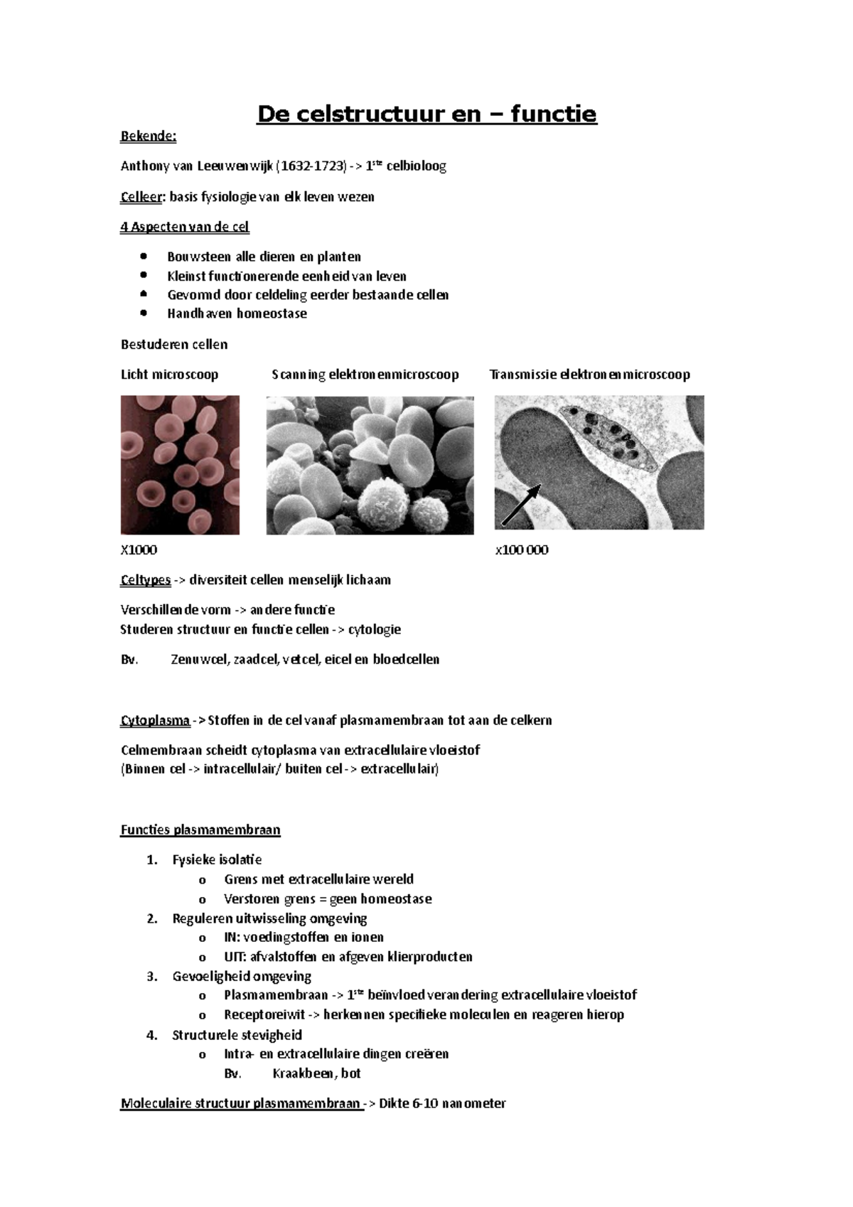 De celstructuur en functie - De celstructuur en – functie Bekende ...