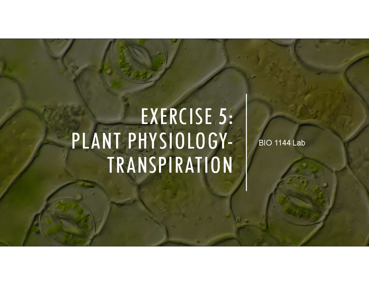 Lab 5: Plant Physiology - Transpiration (BIO 1144) - Studocu