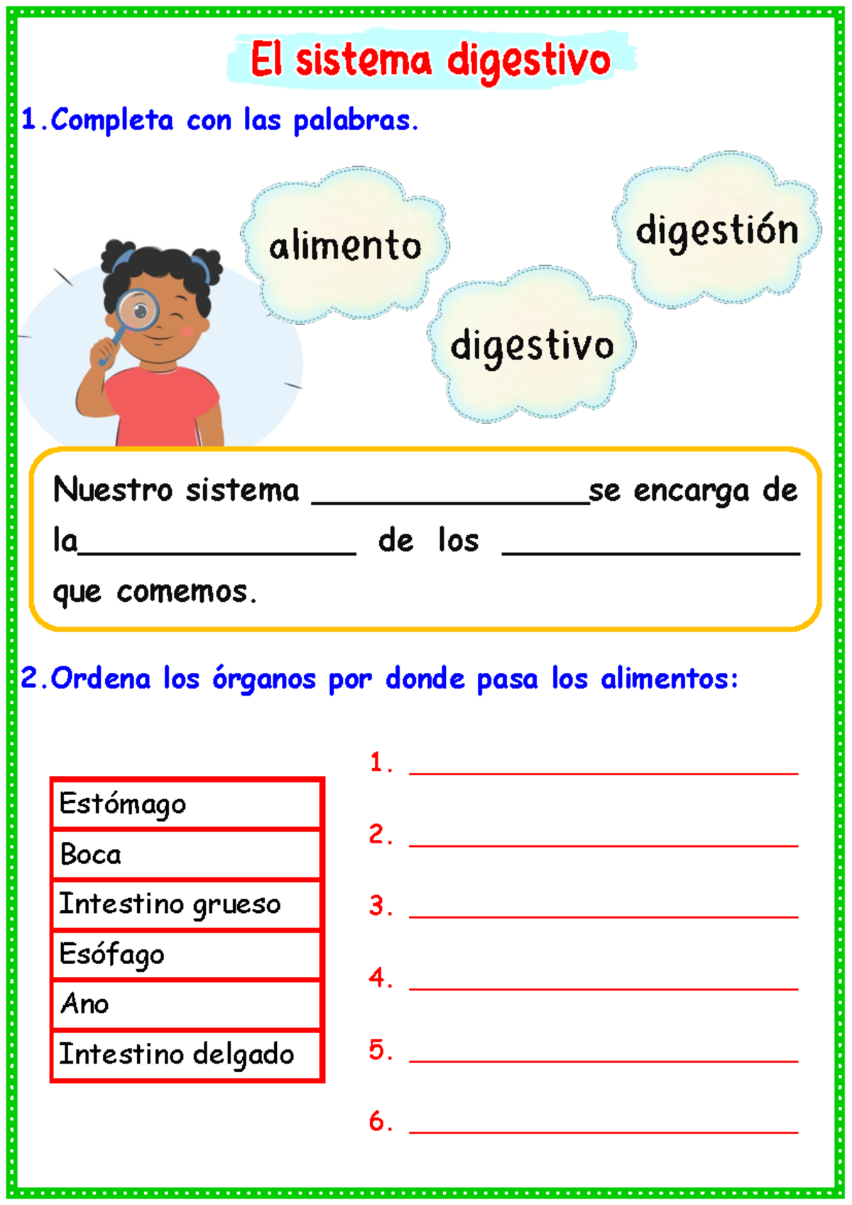 Sistema Digestivo 2° Grado - Actividades y Estructura Básica - Studocu
