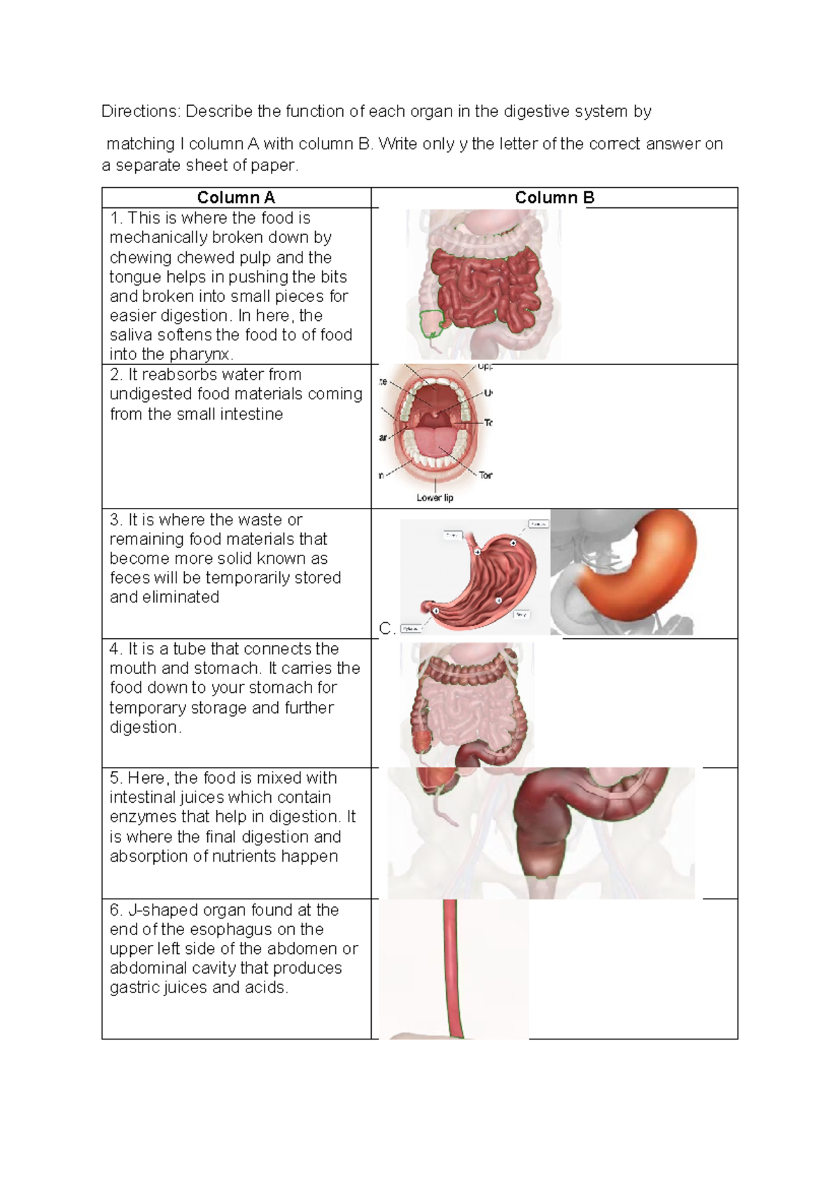 Science - aaaaa - Directions: Describe the function of each organ in ...