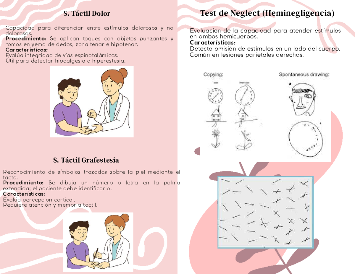 Evaluación Táctil: Test de Dolor y Grafestesia en Heminegligencia - Studocu