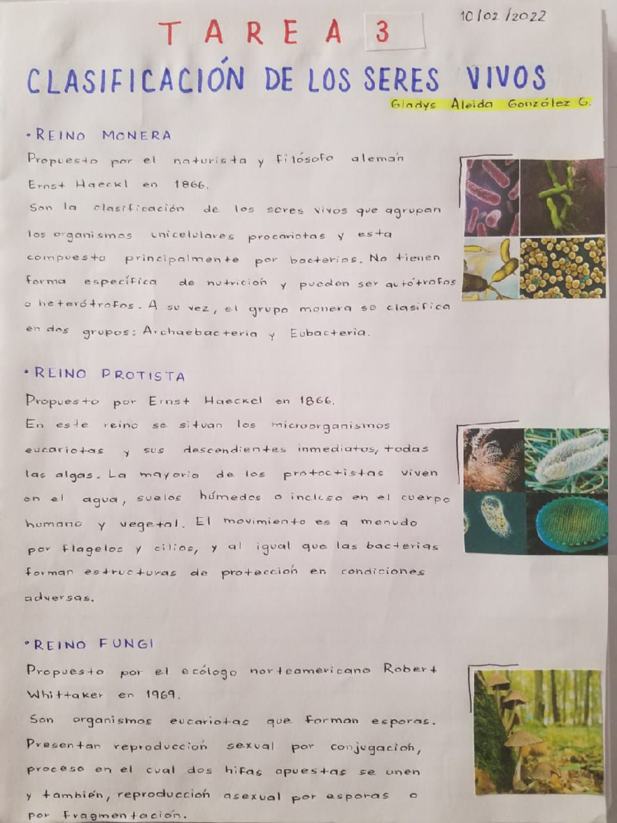 TAREA3 CLASIFICACIÓN DE LOS SERES VIVOS - REINOS Y TAXONOMÍA - Studocu