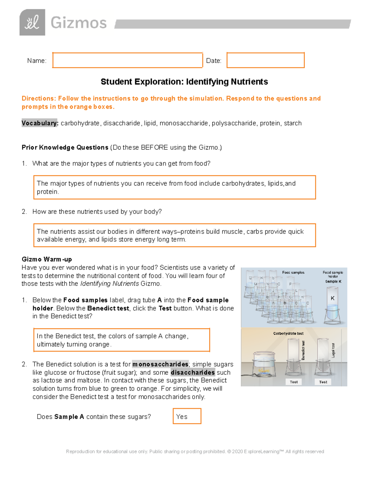 Gizmo Exploration: Identifying Nutrients in Food Samples - Studocu
