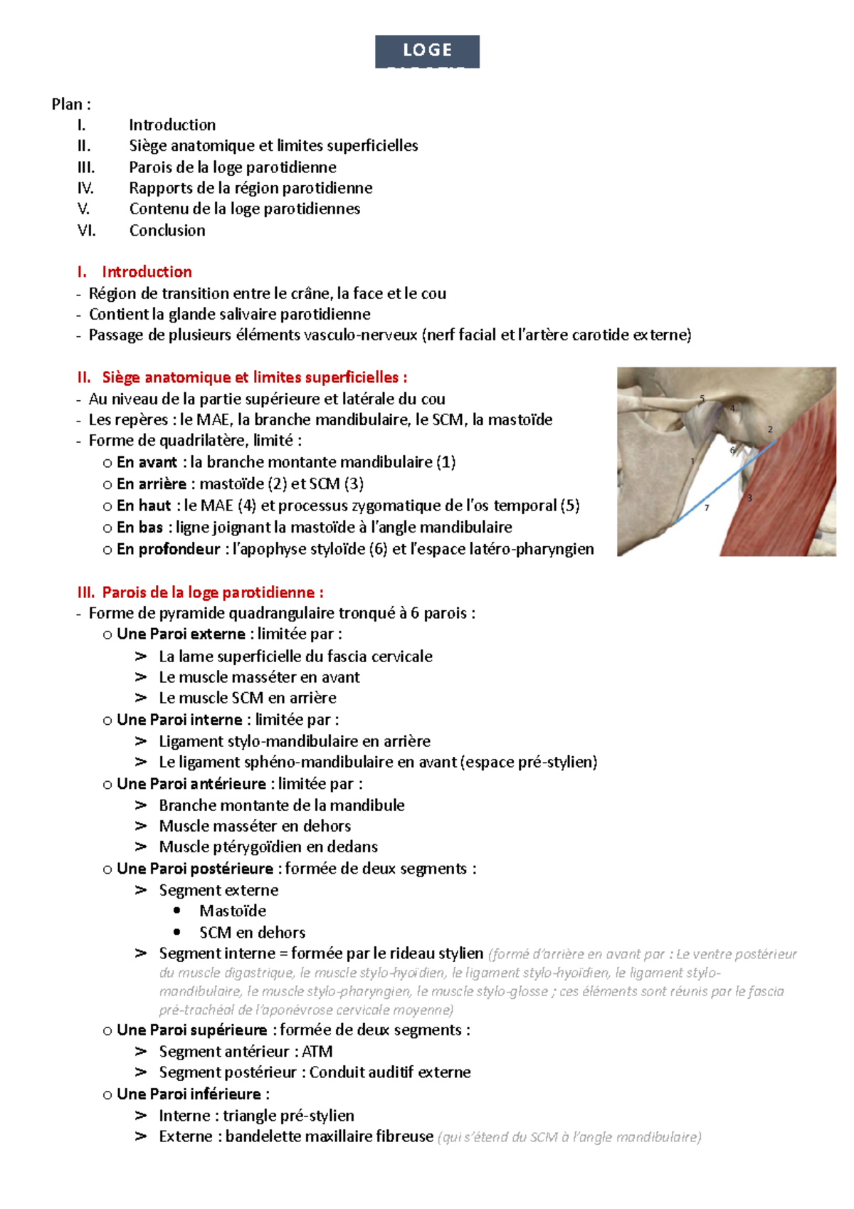 Loge Parotidienne : Anatomie, Rapports et Contenu clé - Studocu