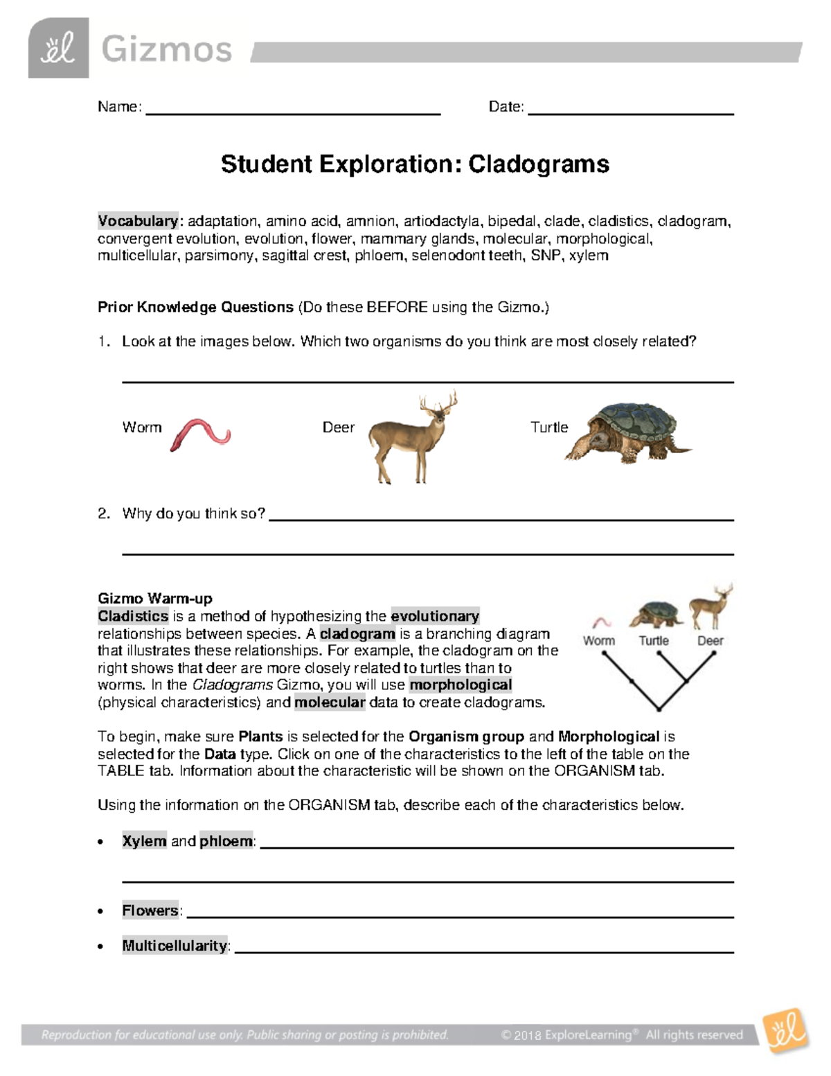 Exploration of Cladograms: Student Activities and Insights - Studocu