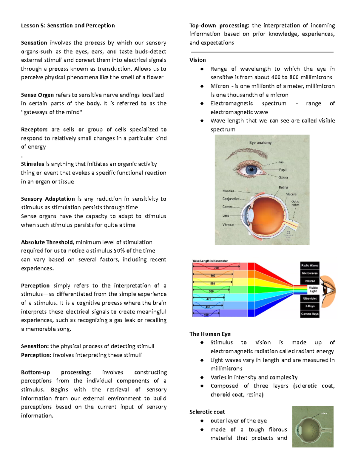 Lesson 5: Sensation and Perception - Understanding Sensory Processes ...