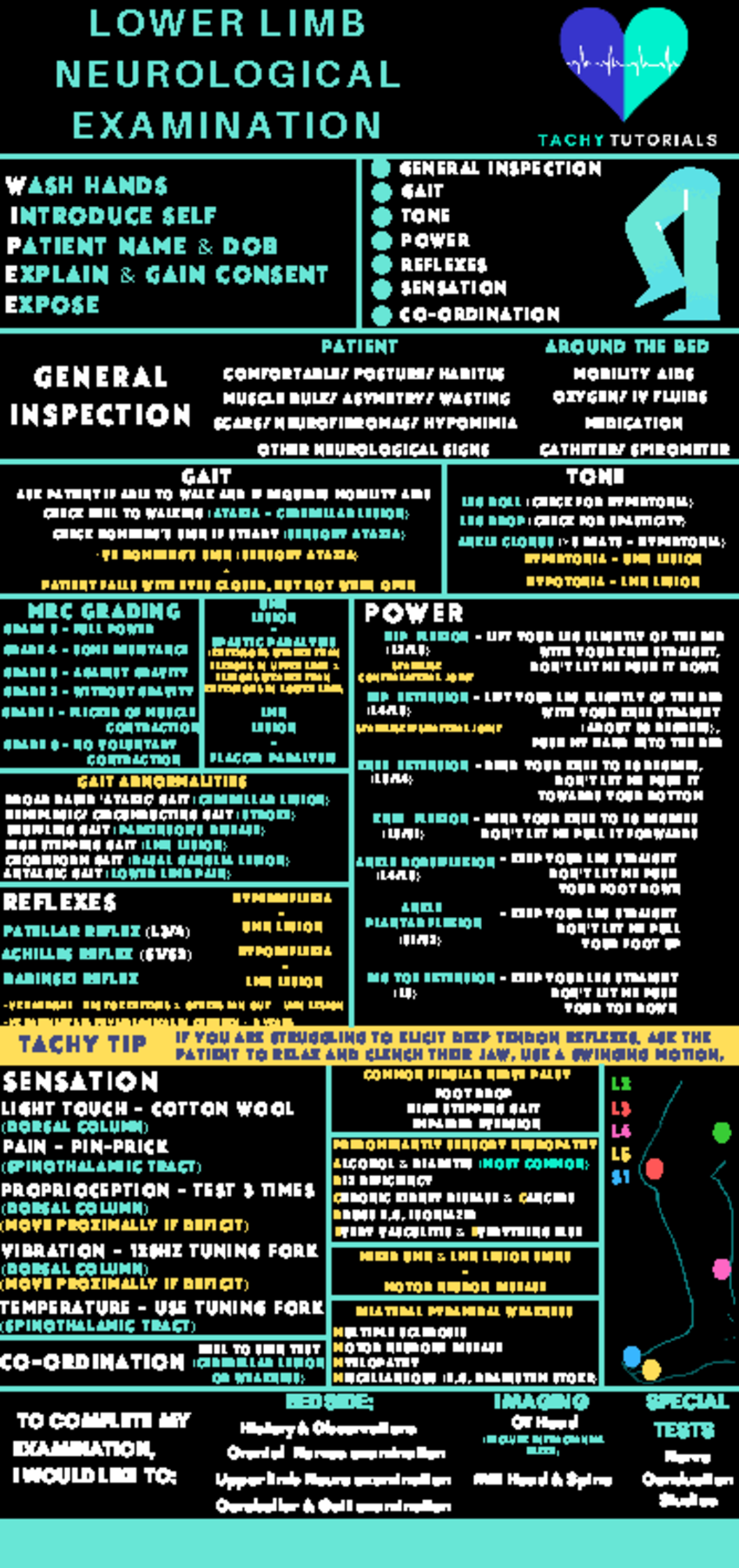 The Lower limb Neurological Examination - PATIENT NAME & DOB EXPLAIN ...