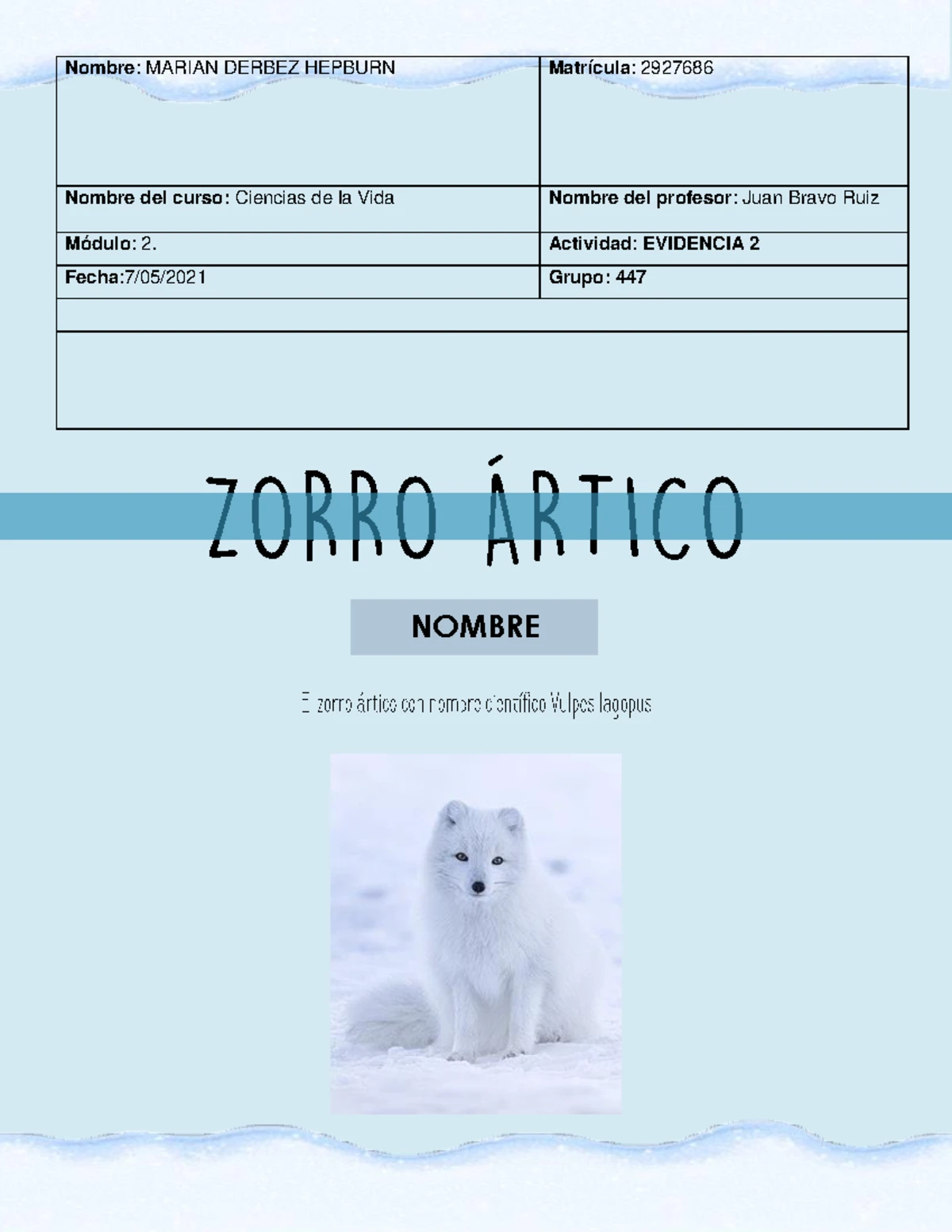 Food Chain - Ciencias de la vida - FOOD CHAIN AXOLOTL Worms, insects ...