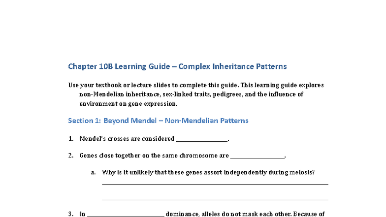 Chapter 10B Learning Guide: Complex Inheritance Patterns Explained ...