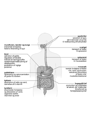Maleri udfyldningsark barnemordet - UDFYLDNINGSARK bSe modellen med ...