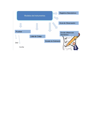 Temas Generadores Y Referentes Teoricos - TEMAS GENERADORES Y ...