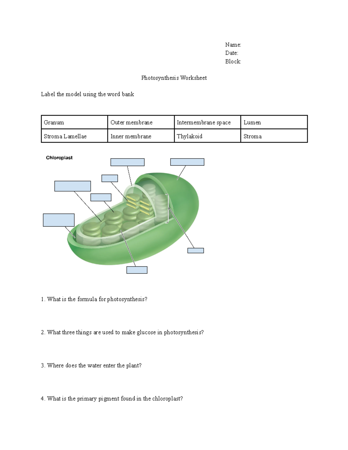 Photosynthesis Worksheet - Name: Date: Block: Photosynthesis Worksheet ...
