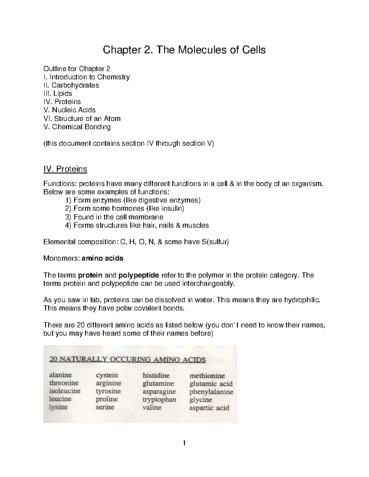 Cell Biology: Chapter 2 - Molecules, Proteins, and Nucleic Acids Notes ...