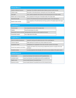 AP - Lab Ex. 08 review sheet chapter 8 Overview of the Skeleton: Classification and Name ...