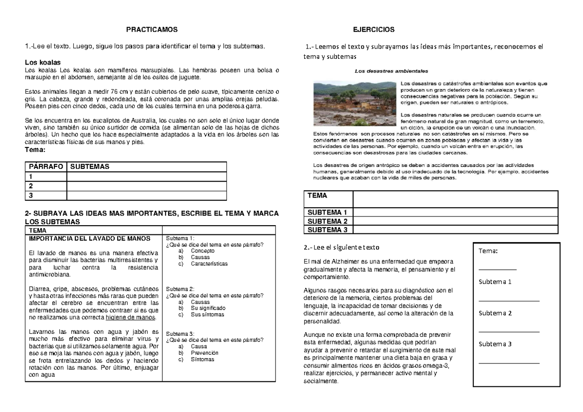 1ro Práctica: Identificación de Tema y Subtemas en Textos - Studocu