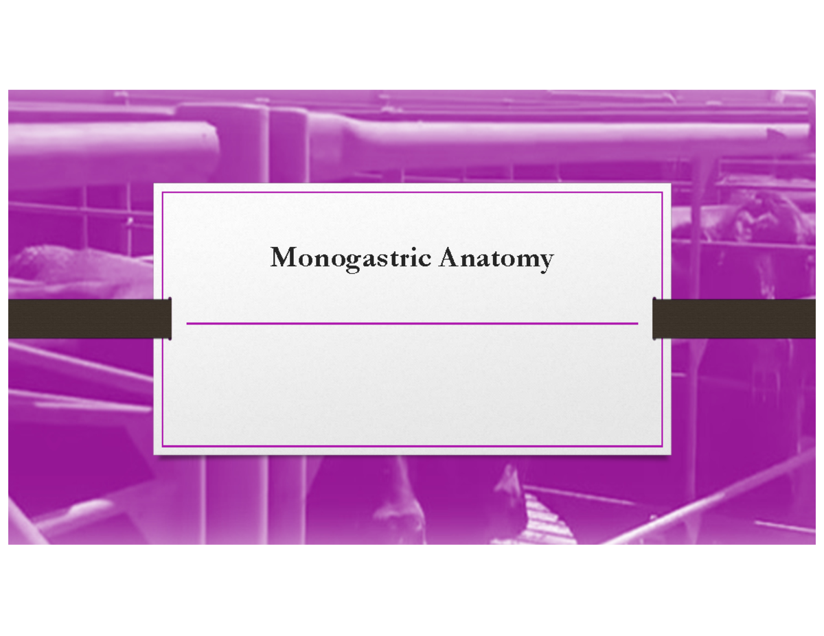 ANSC3308 Monogastric Anatomy: Digestive Systems Overview - Studocu