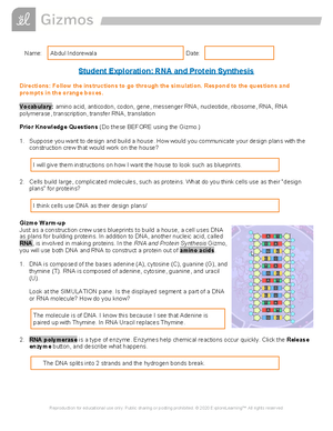 Protein Synthesis Race worksheet Stensgaard - Protein Synthesis Race ...