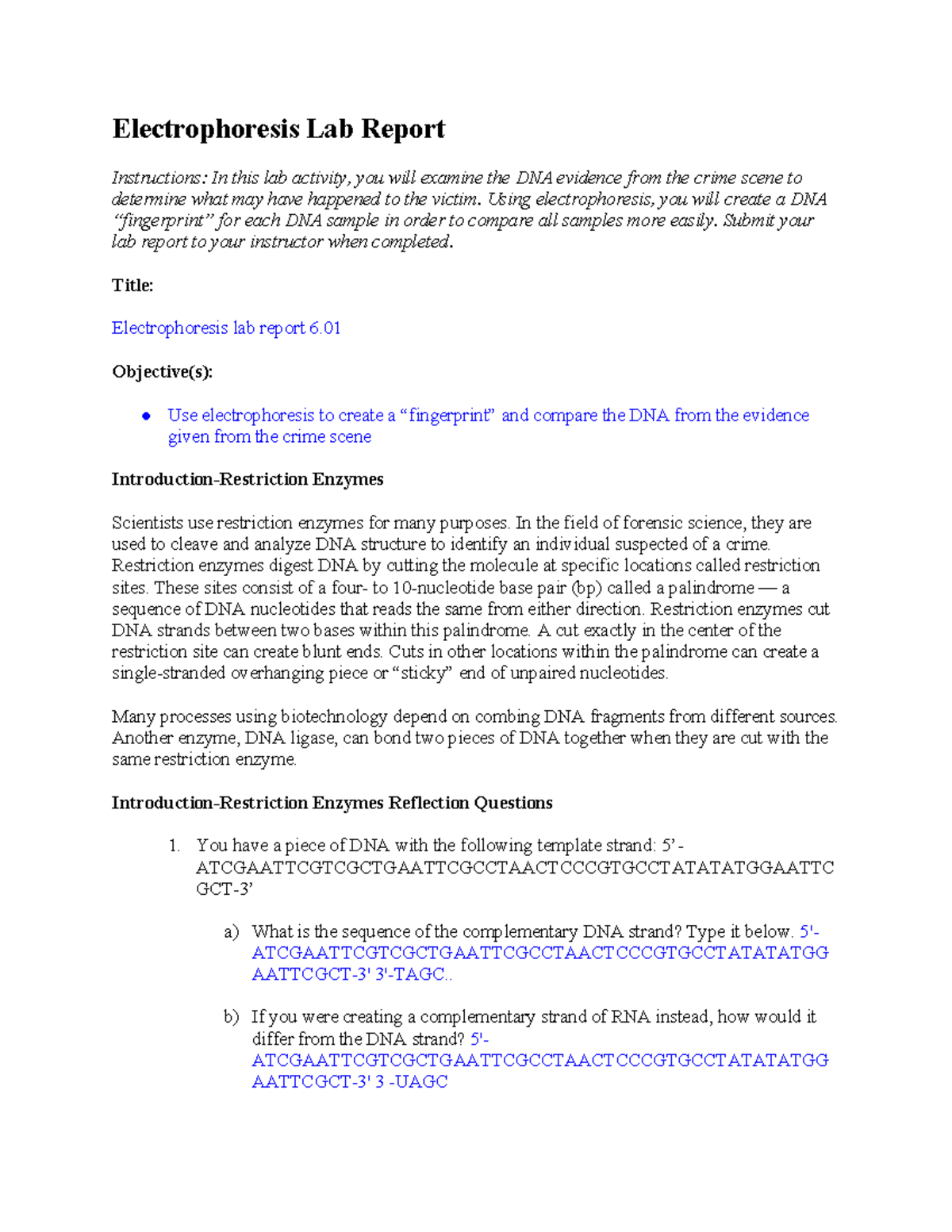 Electrophoresis Lab Report (Course Code: 06 01) – Analysis & Findings ...