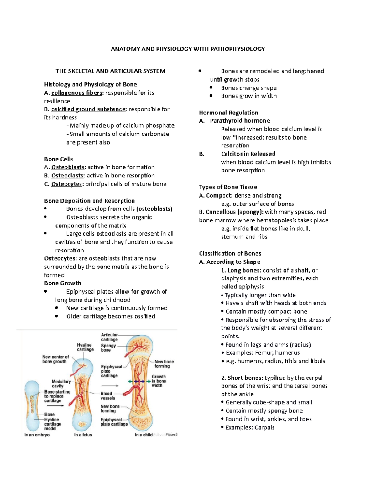 Anaphy ( Skeletal System) - ANATOMY AND PHYSIOLOGY WITH PATHOPHYSIOLOGY ...