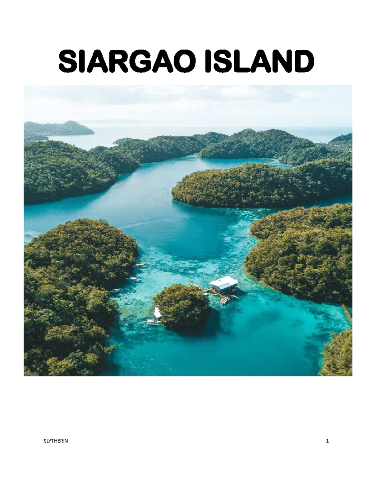 SIARGAO ISLAND Tourism Study: Insights & Challenges - PRE-FINAL-EXAM ...