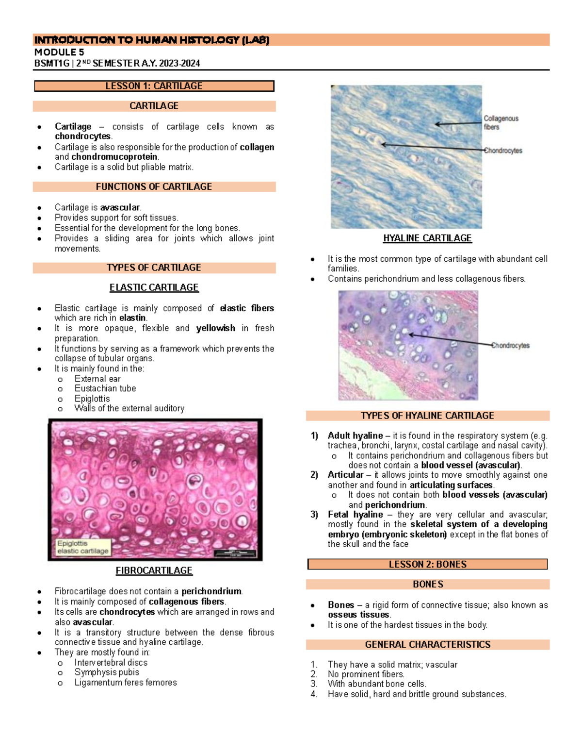 Histo LAB Module 5 - INTRODUCTION TO HUMAN HISTOLOGY (LAB) MODULE 5 ...