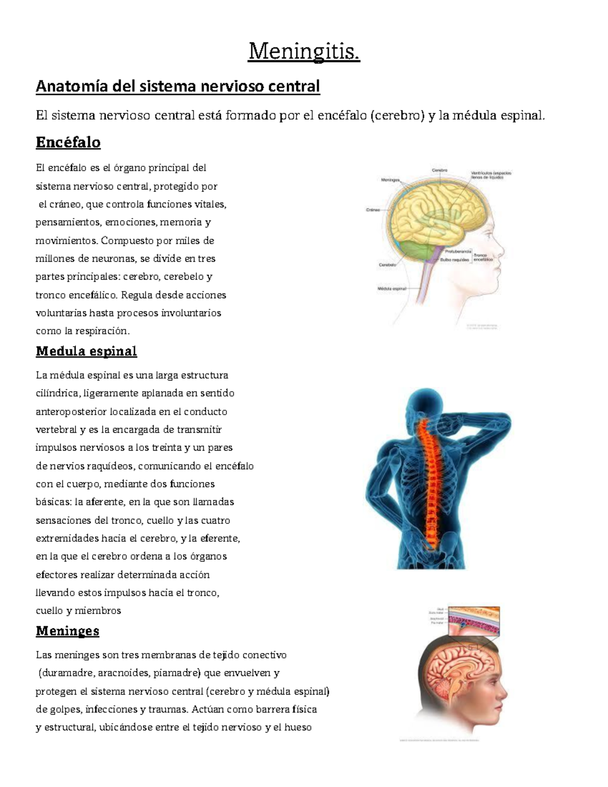 Meningitis: Anatomía y Cuidados del Sistema Nervioso Central - Studocu