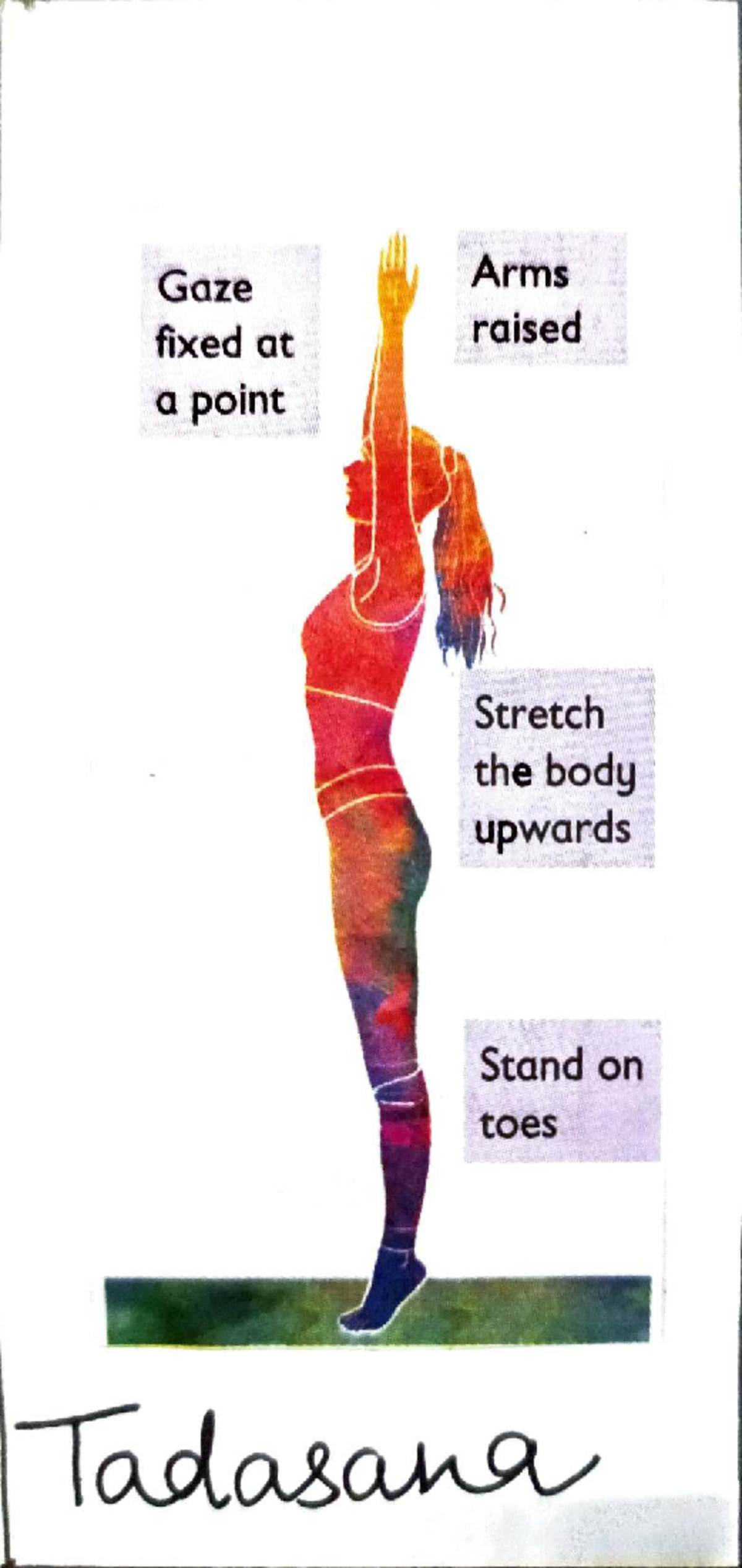 XII Practical 4 - Yoga Asanas: Techniques and Benefits - Studocu