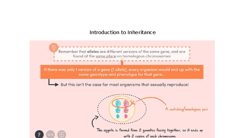 Introduction to Inheritance and autosomal and sex linked inheritence ...