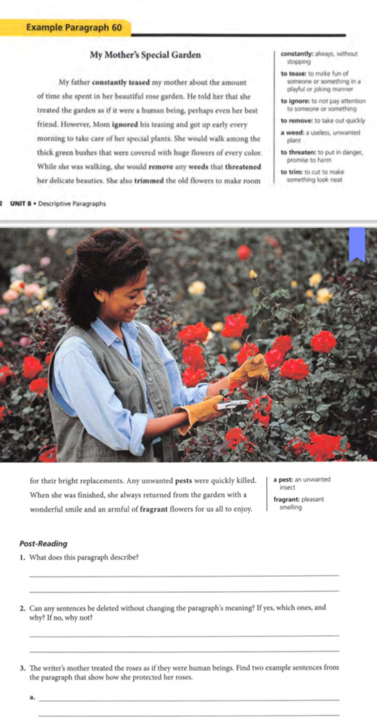 Writing 2 - English: Descriptive Paragraphs and Adjectives Activities ...