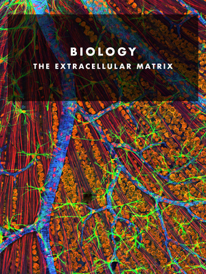 TEMA 19- BIO - apuntes. - TEMA 19: BACTERIAS Y VIRUS. 1 ...
