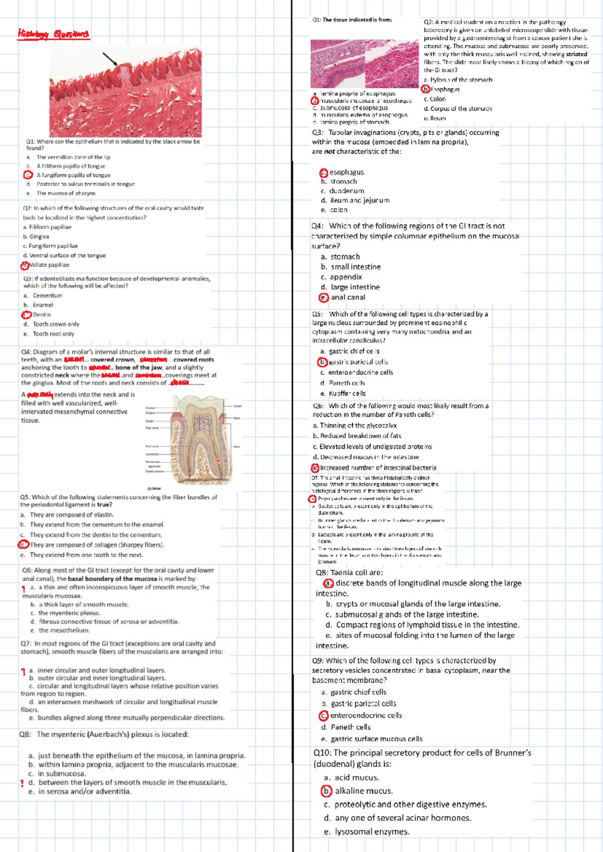 Histology and Embryology Questions for Gastrointestinal System and ...