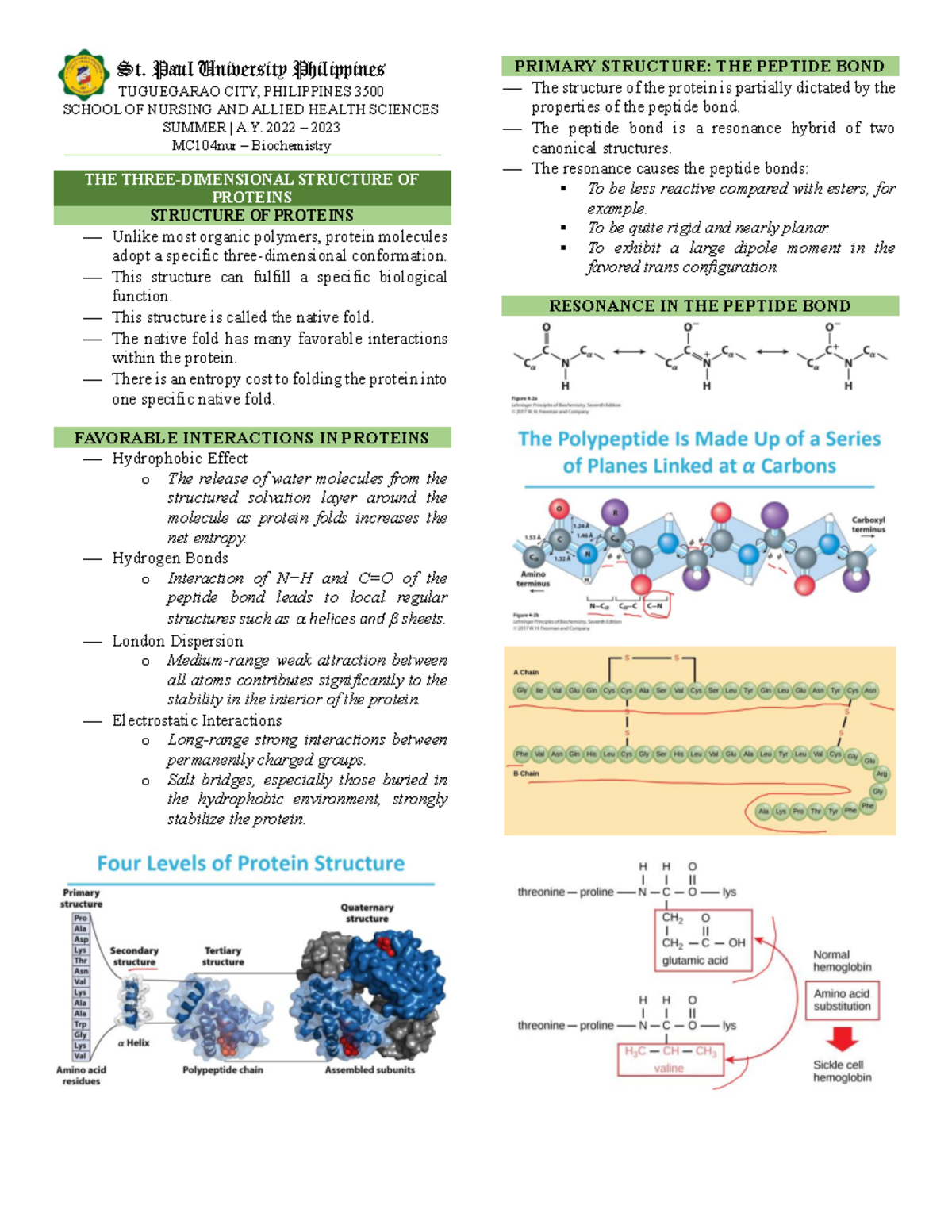 MC104- Biochem- Protein- Structures - St. Paul University Philippines ...