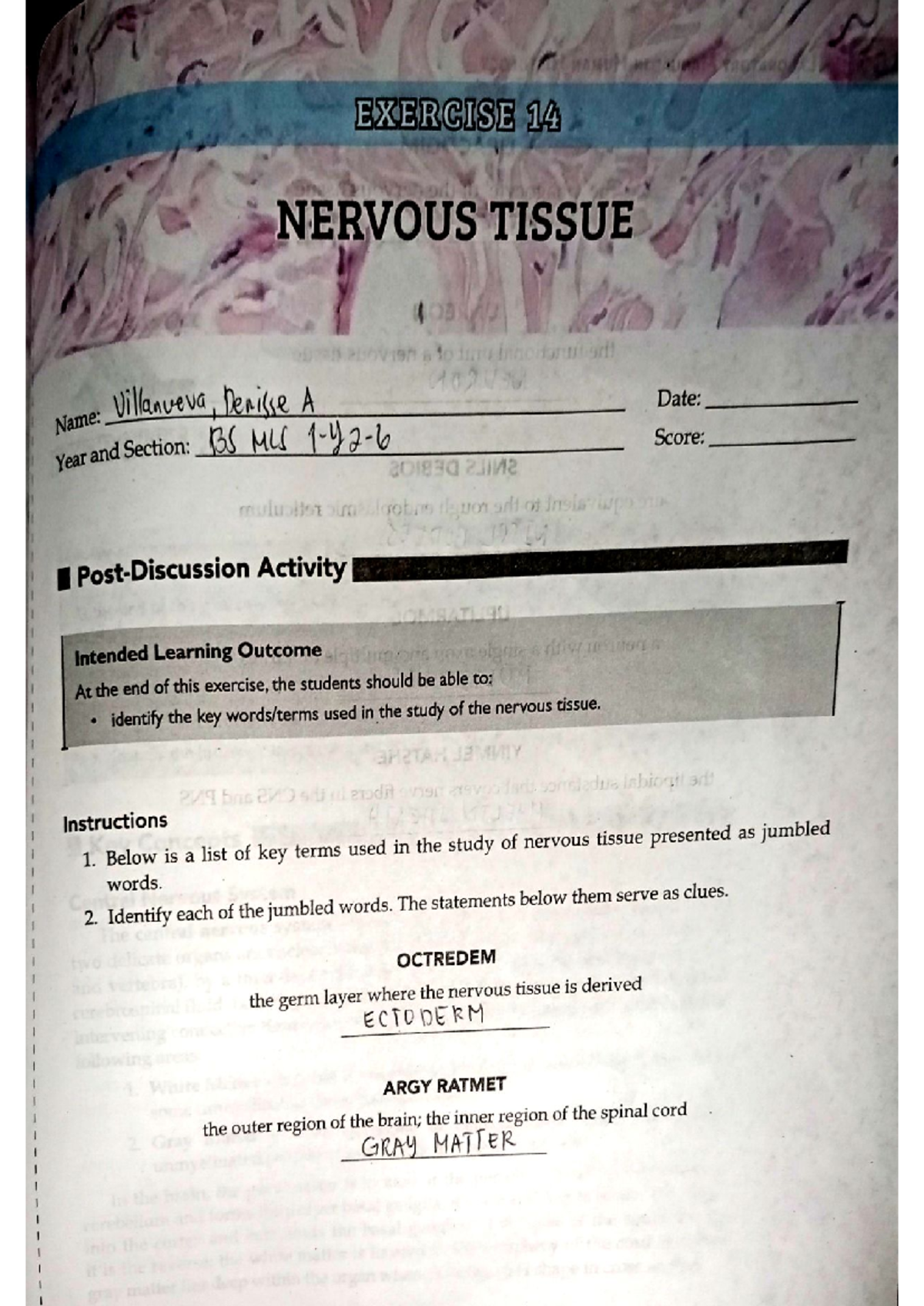 EXERCISE 14 & 15 NERVOUS TISSUES: BS MLS Lab Manual & Key Terms - Studocu