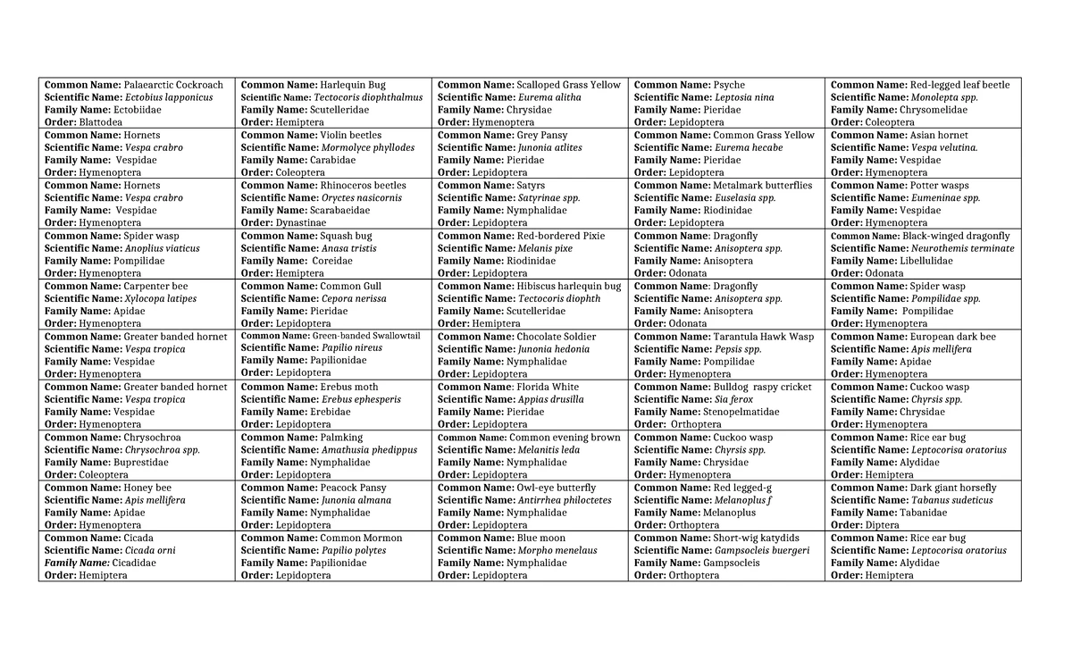 Insect Identification Card: Common & Scientific Names of Various ...