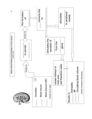 EKG Rhythms & Medications Quick Guide - Cardiac System Notes - Studocu