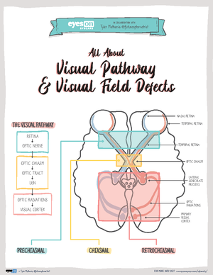 Functional Gait Assessment (FGA) Overview and Scoring Guide ...