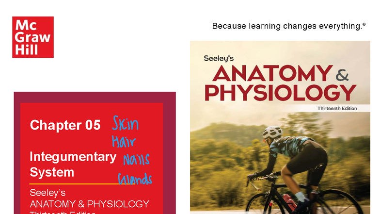 Final Exam Study Guide: Integumentary System (ANATOMY & PHYSIOLOGY) - Studocu