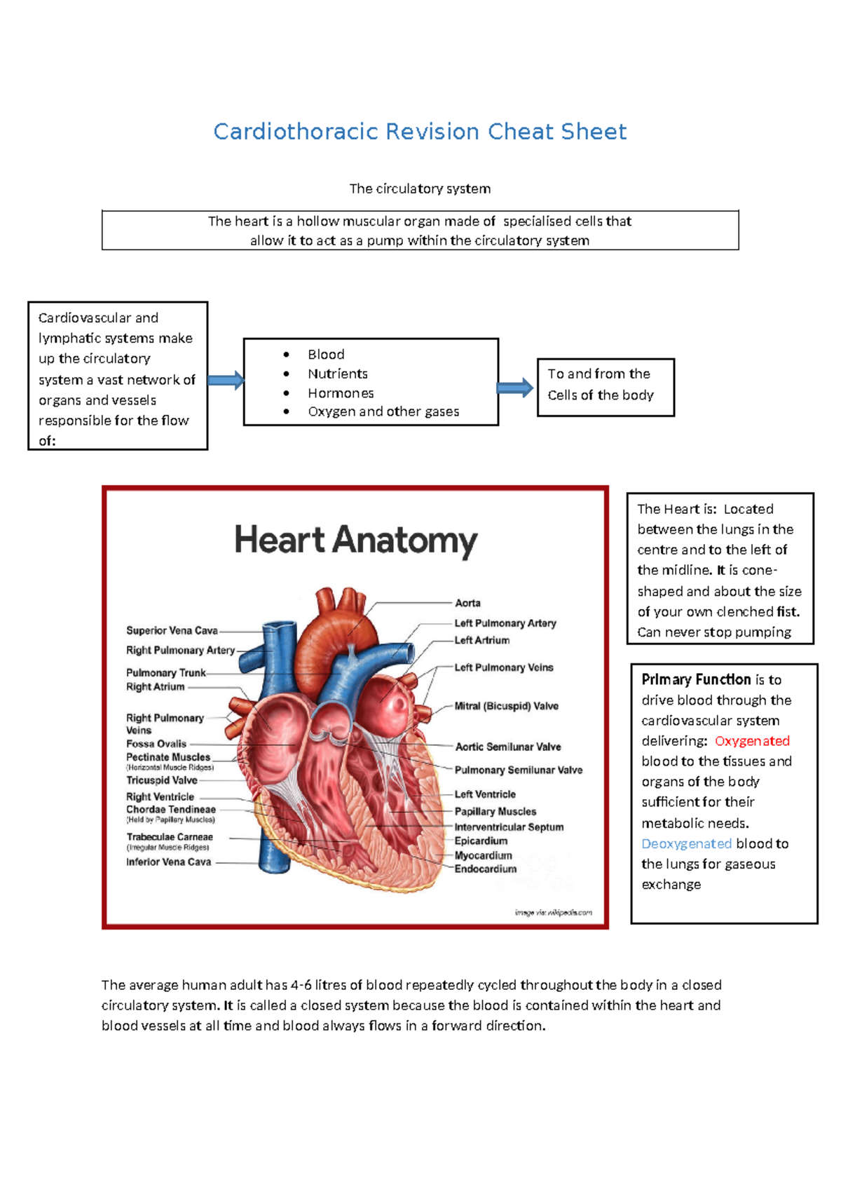 Cardiothoracic Revision: Circulatory System Overview - Studocu