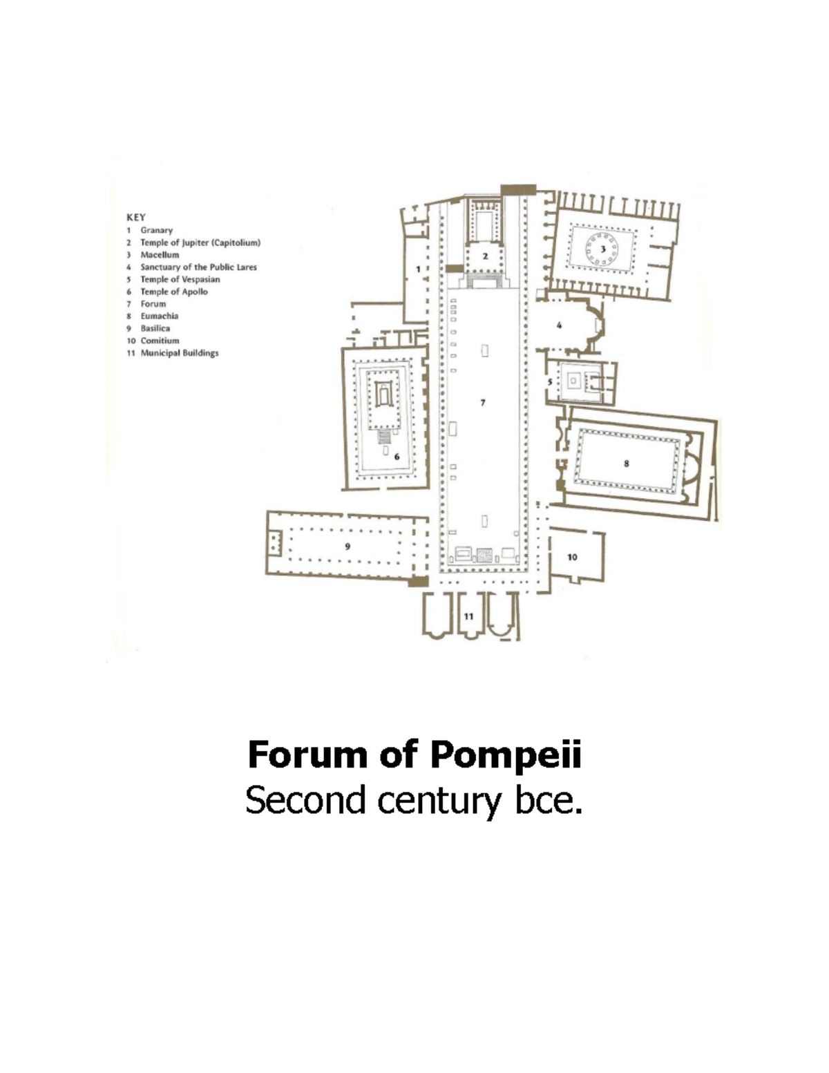 Forum of Pompeii: A Study of 2nd Century BCE Architecture - Studocu