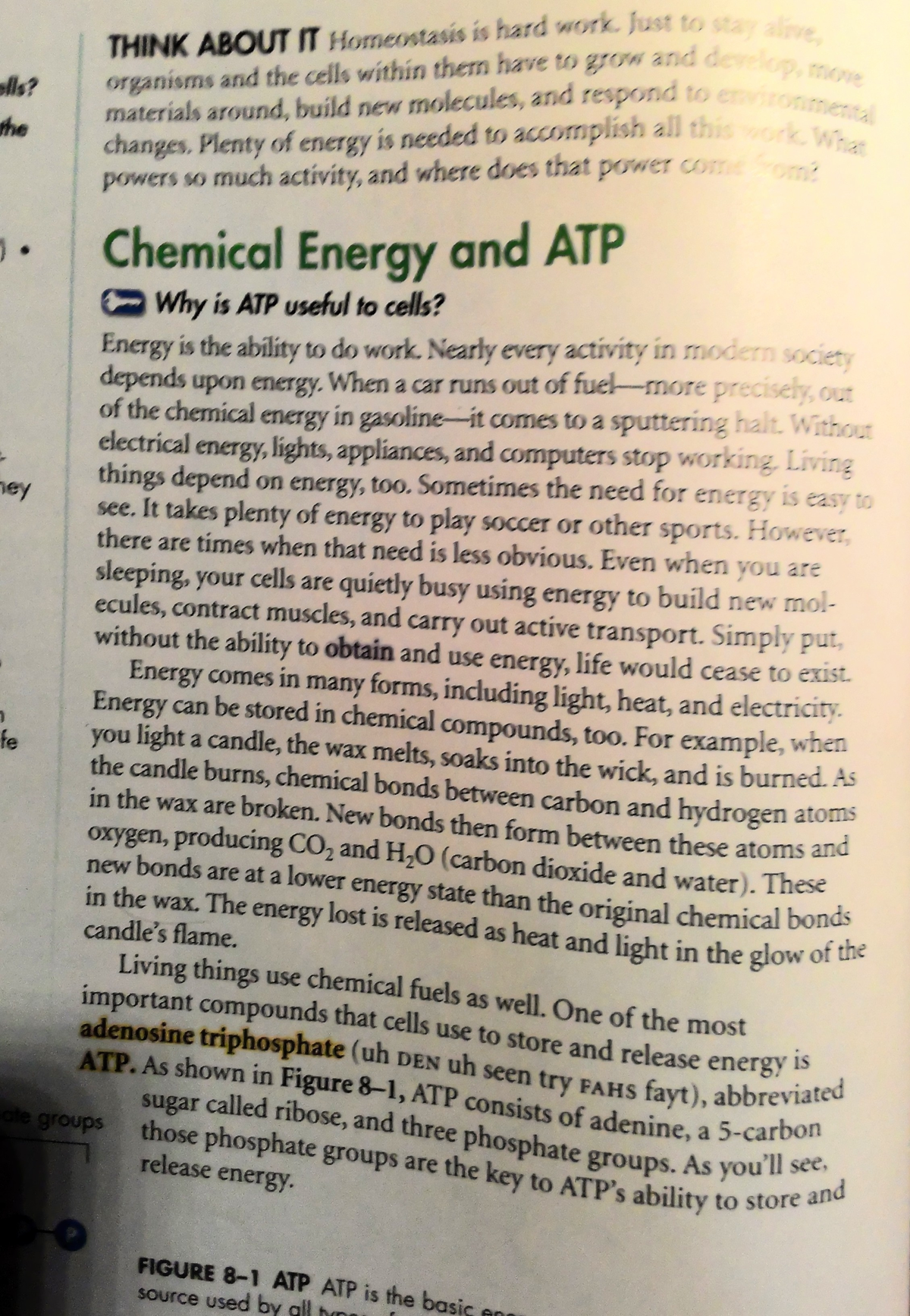 Energy Transfer and Chemical Reactions in Living Organisms (BIO 101 ...