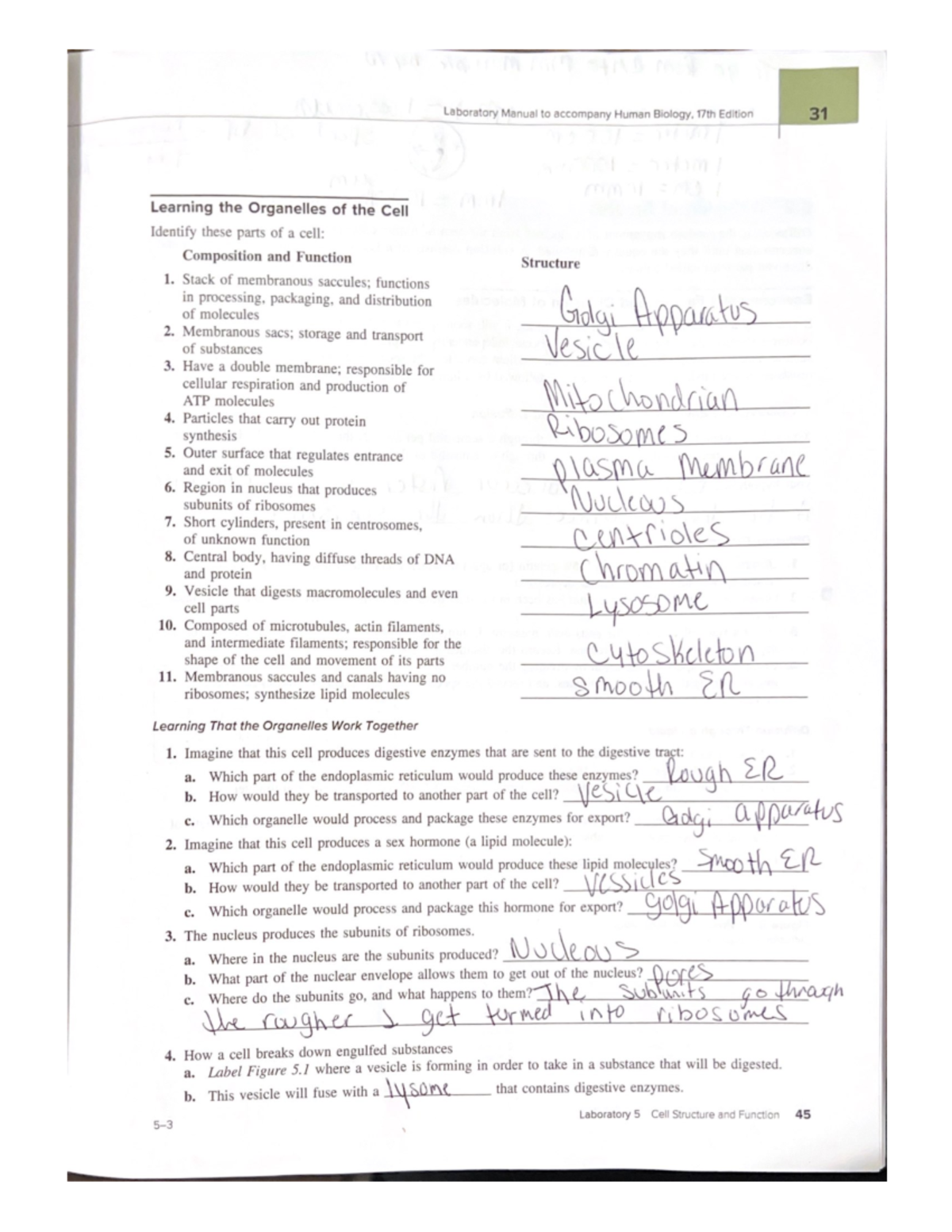 Lab#5 - Lab assignment - Laboratory Manual to accompany Human Biology ...