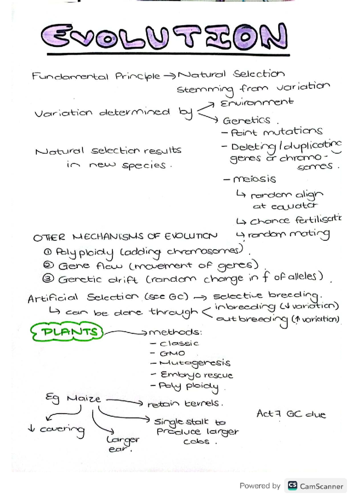 Evolution Notes: Natural Selection & Mechanisms of Evolution (BIO101 ...