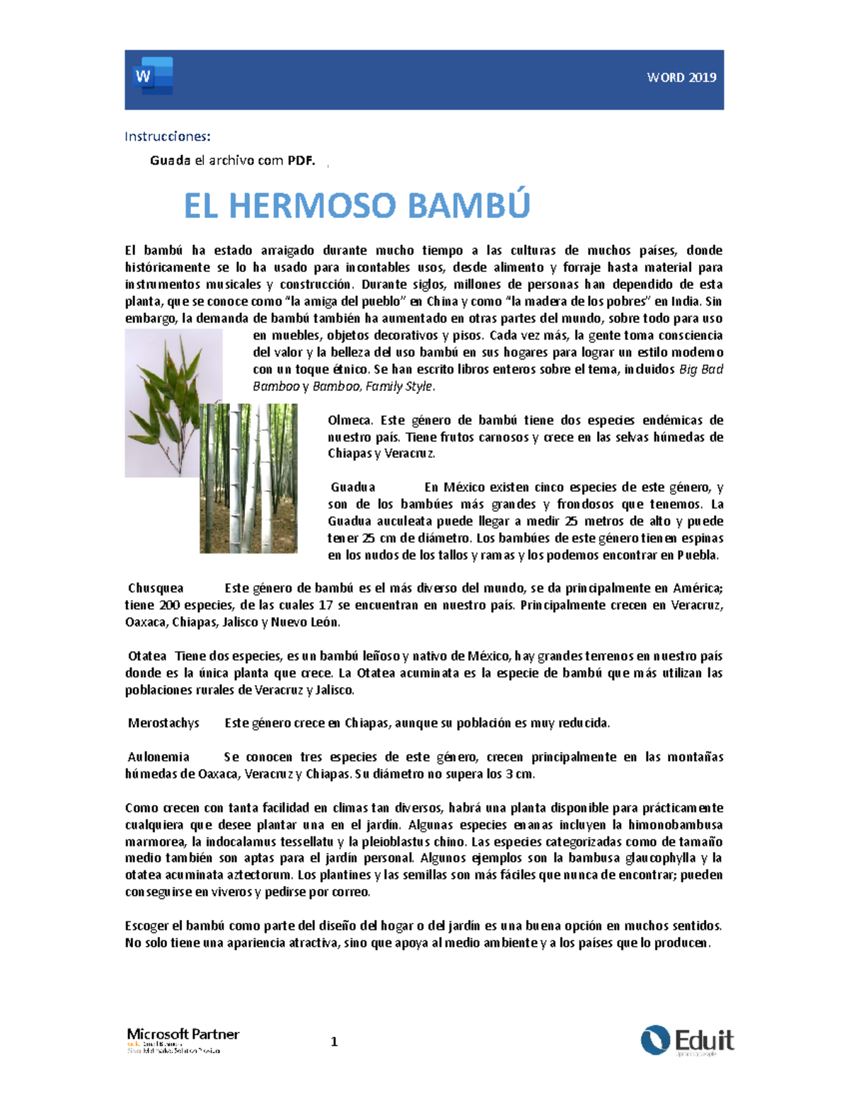 Practica (14) - WORD 201 9 Instrucciones: Guada el archivo com PDF. El ...