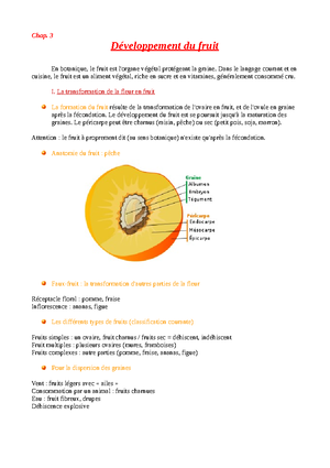 Cours Biologie du Développement Végétal - Graine et Fruits - L2S3 BOPE ...