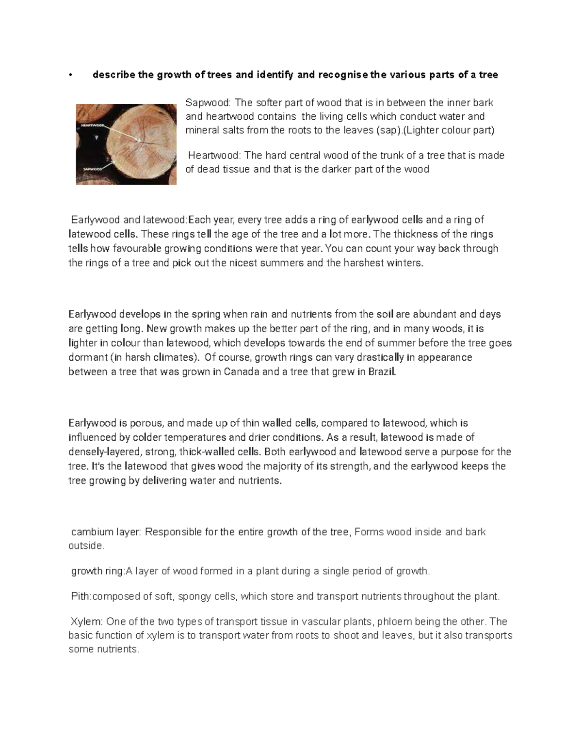 Timber Preliminary Notes: Understanding Tree Growth & Properties - Studocu