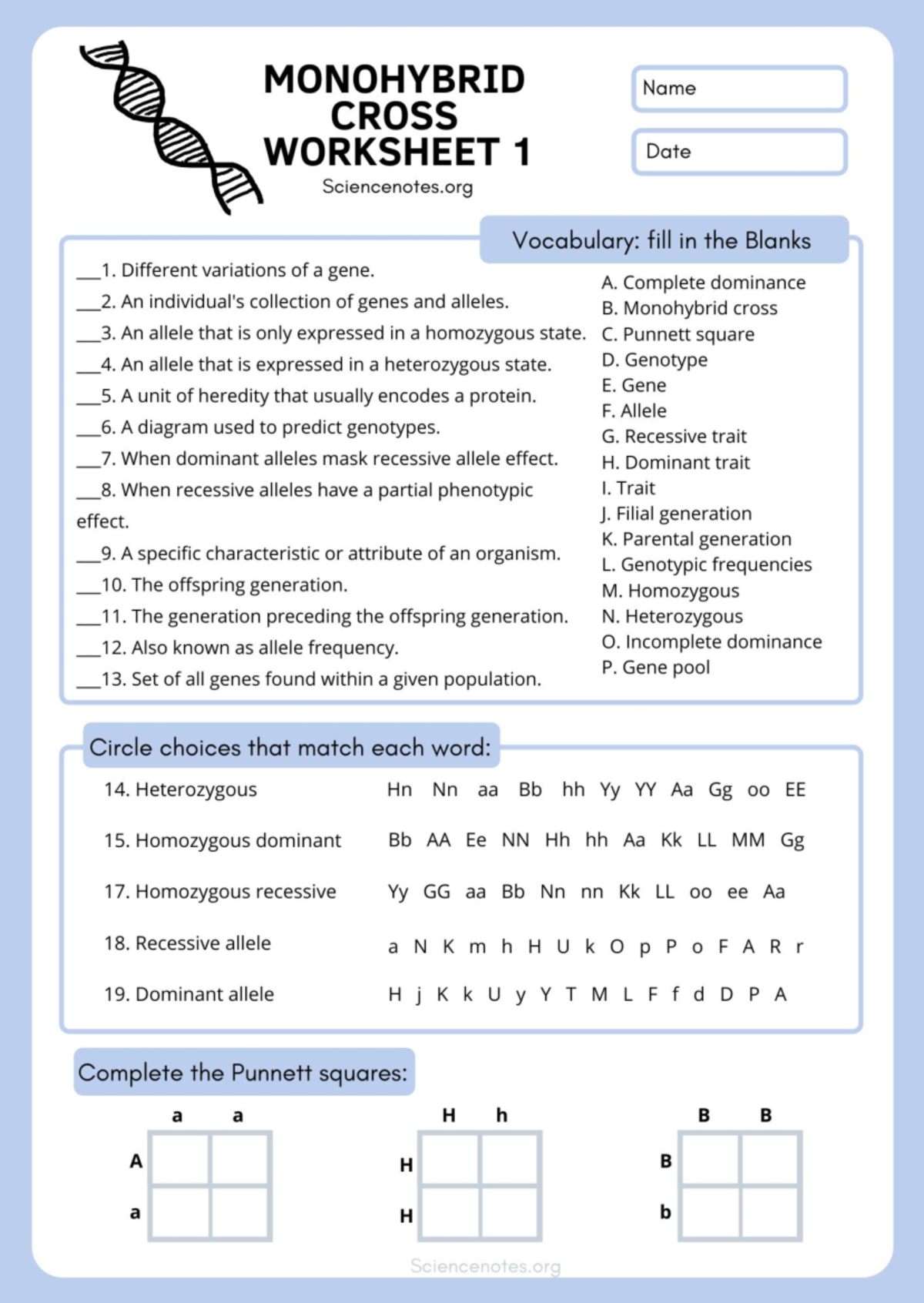 Monohybrid-Cross-1 - Punnett Square - MONOHYBRID Name CROSS WORKSHEET 1 ...